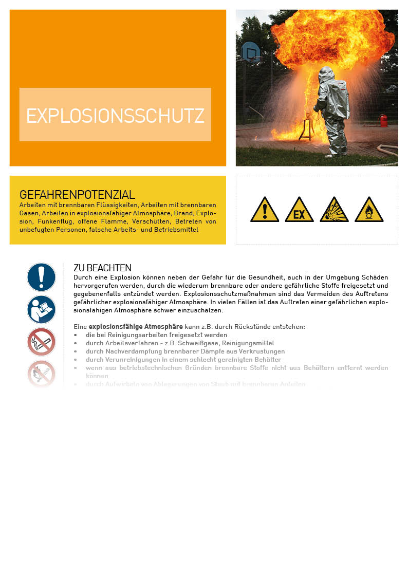 Explosionsschutz - Unterweisung / Arbeitsanweisung - SAFEGUARD