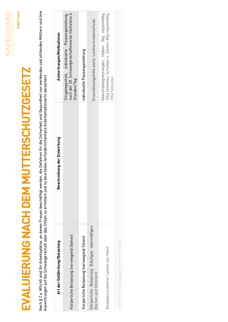 Evaluierung nach dem Mutterschutzgesetz - Vorlage - SAFEGUARD